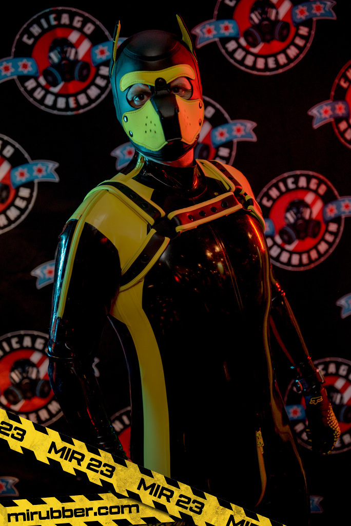 MIR at IML Portraits - MIR Contest